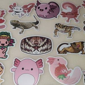 Office | Set Of 23 Cute Axolotl Salamander Stickers | Poshmark